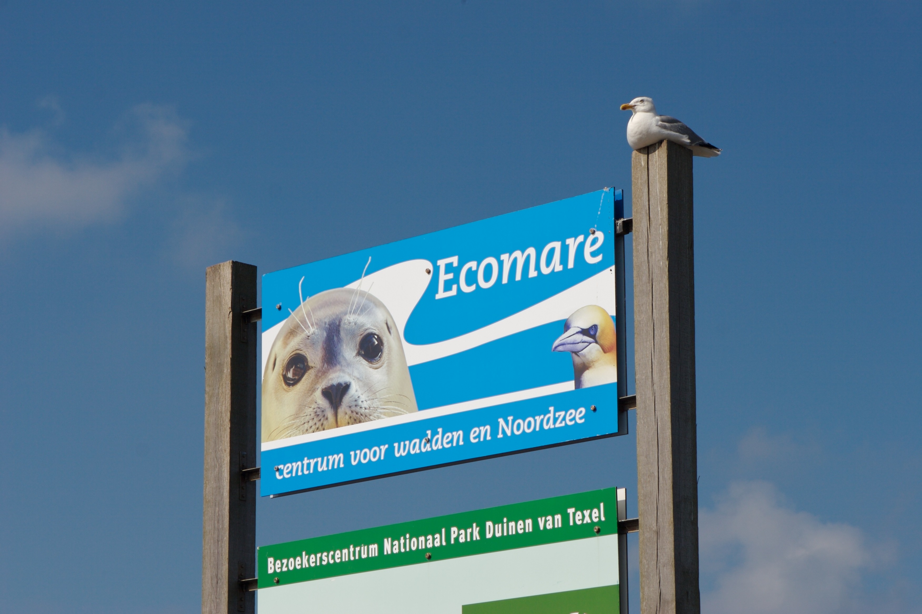 Ecomare: Erlebnis für die ganze Familie | Urlaub auf Texel